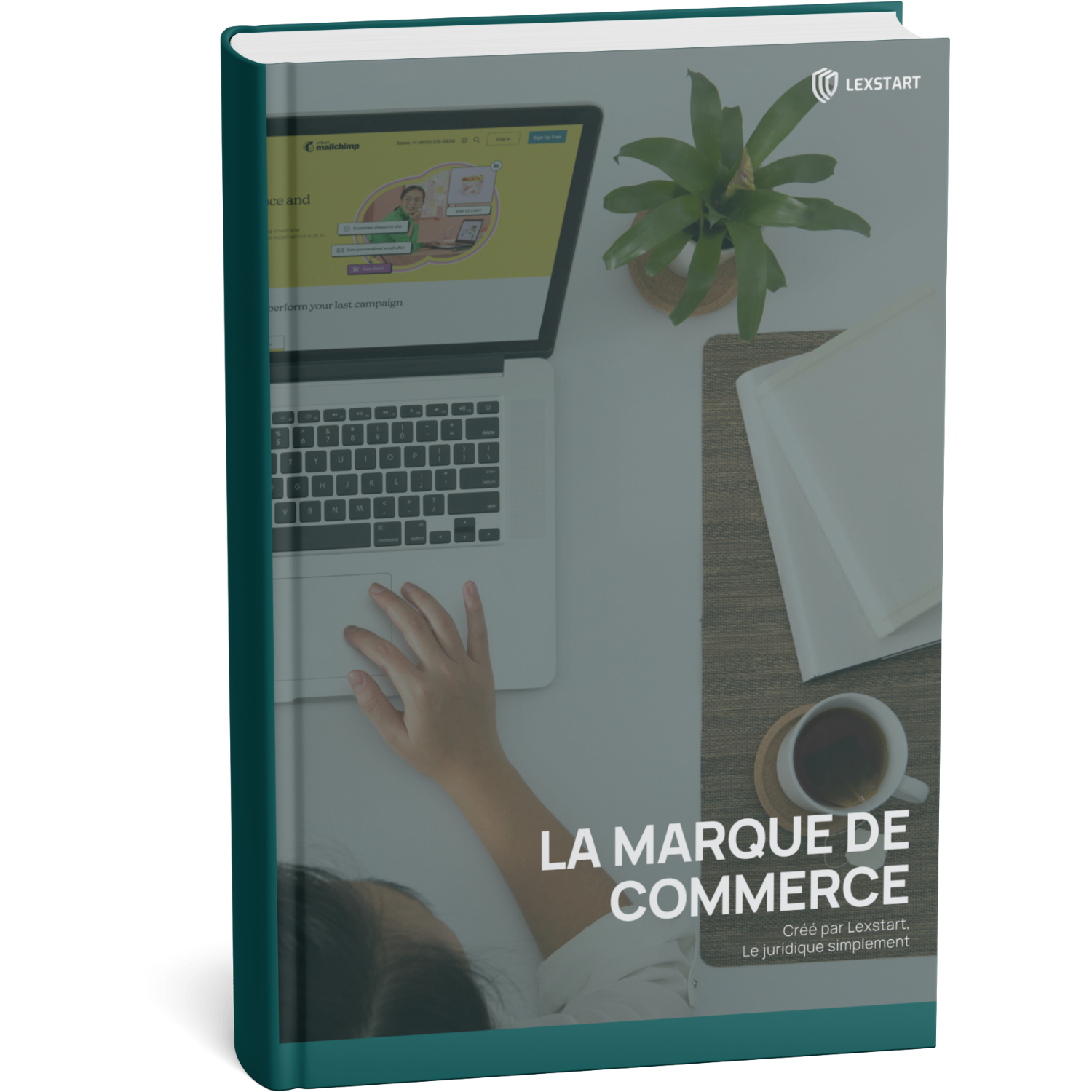 Le guide complet de la Marque de Commerce